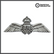 Flying Badge | RAF Benevolent Fund Shop